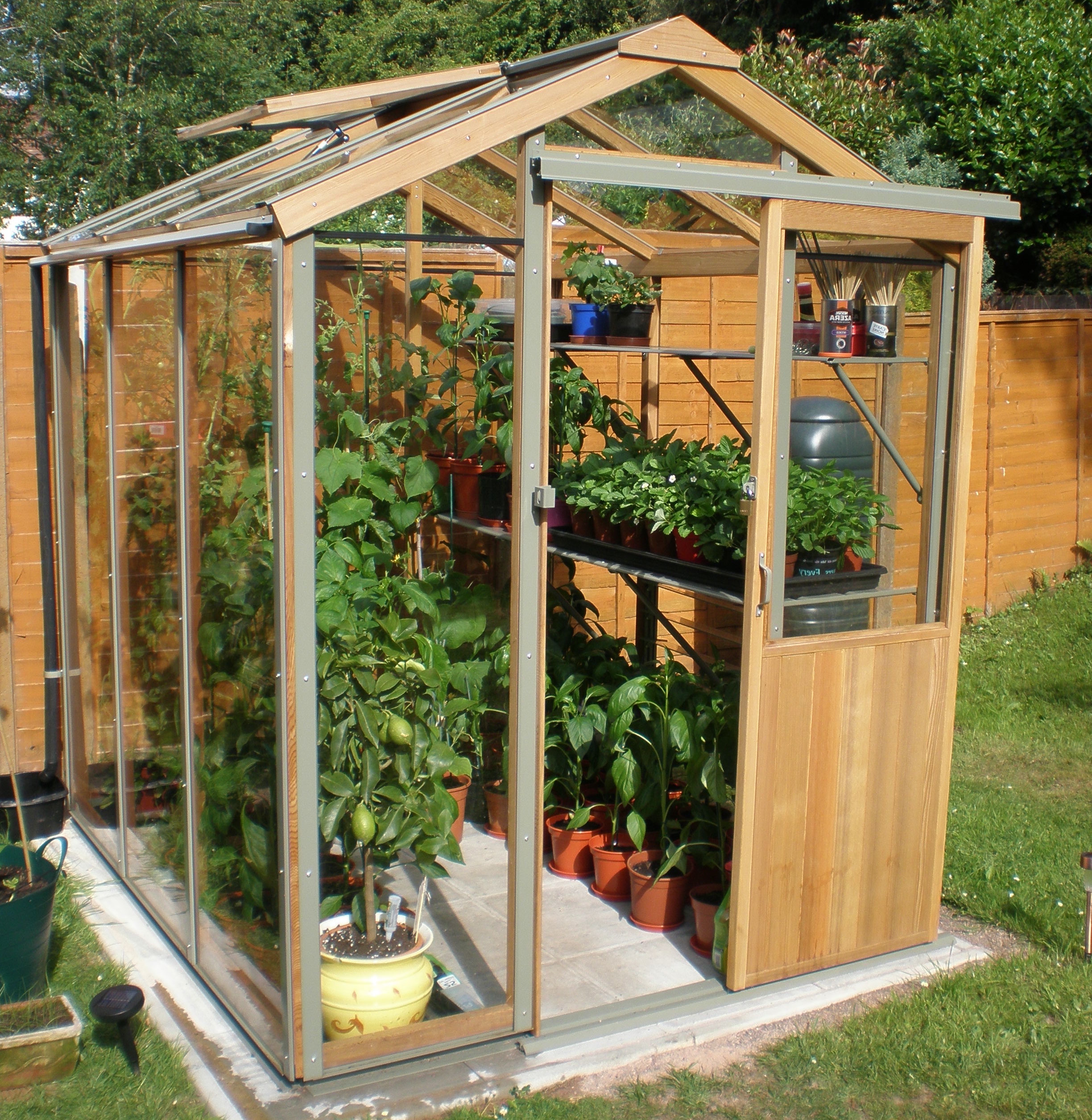 Evolution Five Cedar Greenhouse (5'6" x 6'6") - Alton Greenhouses
